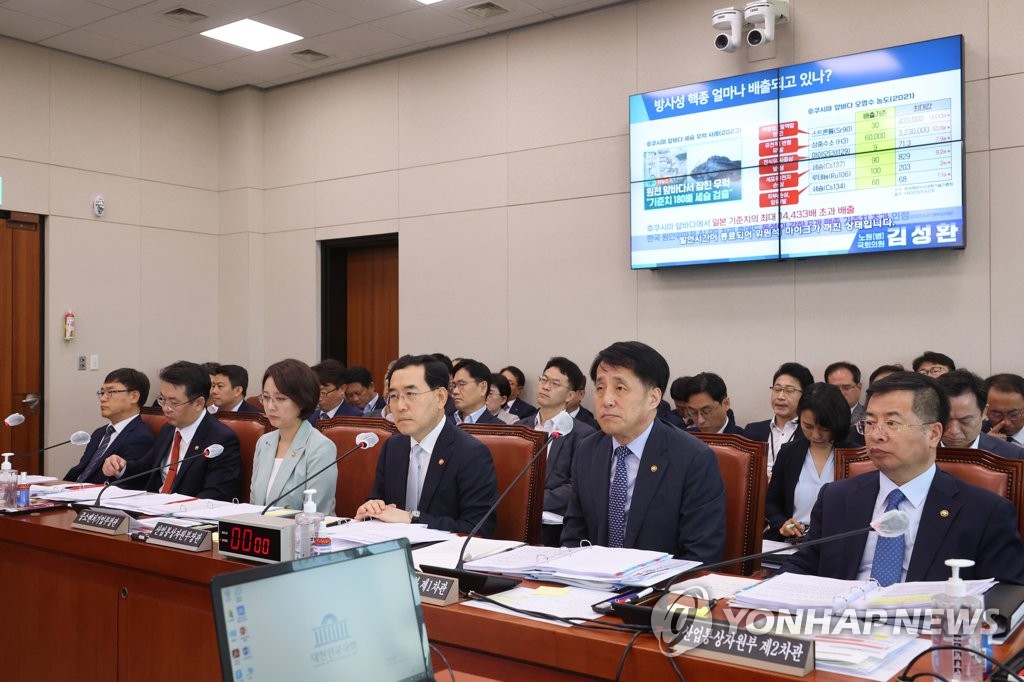 IAEA 보고서 두고 "국제기구 무시 안돼" vs "日과 공동작업 의심" (연합뉴스) - 나무뉴스