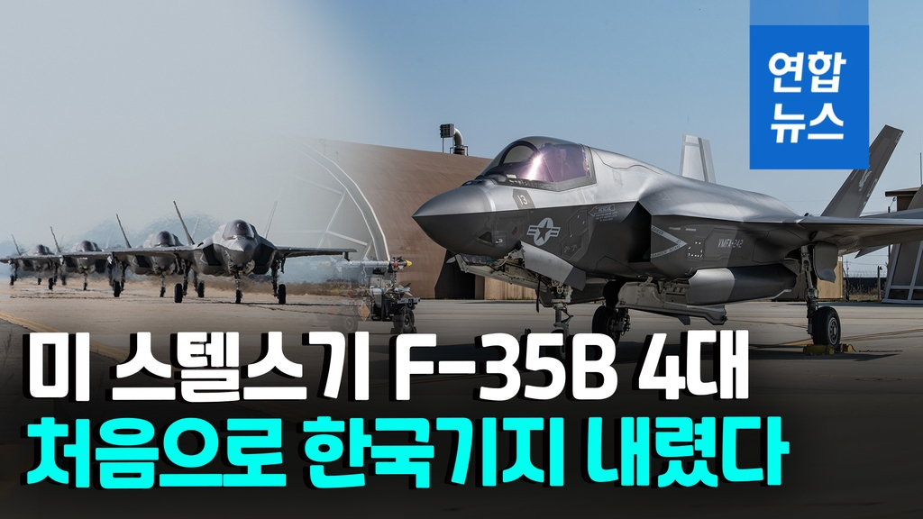 [영상] 미 F-35B, 첫 한국기지 착륙…북 "강화된 다음 조치" 위협 - 나무뉴스