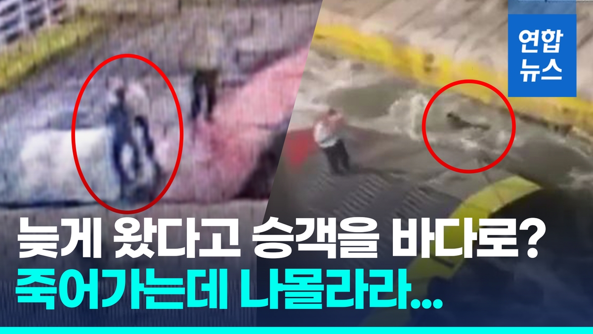 [영상] 배시간 늦었다고 바다로 떠밀었다…승객 죽음에 그리스 발칵 (연합뉴스) - 나무뉴스