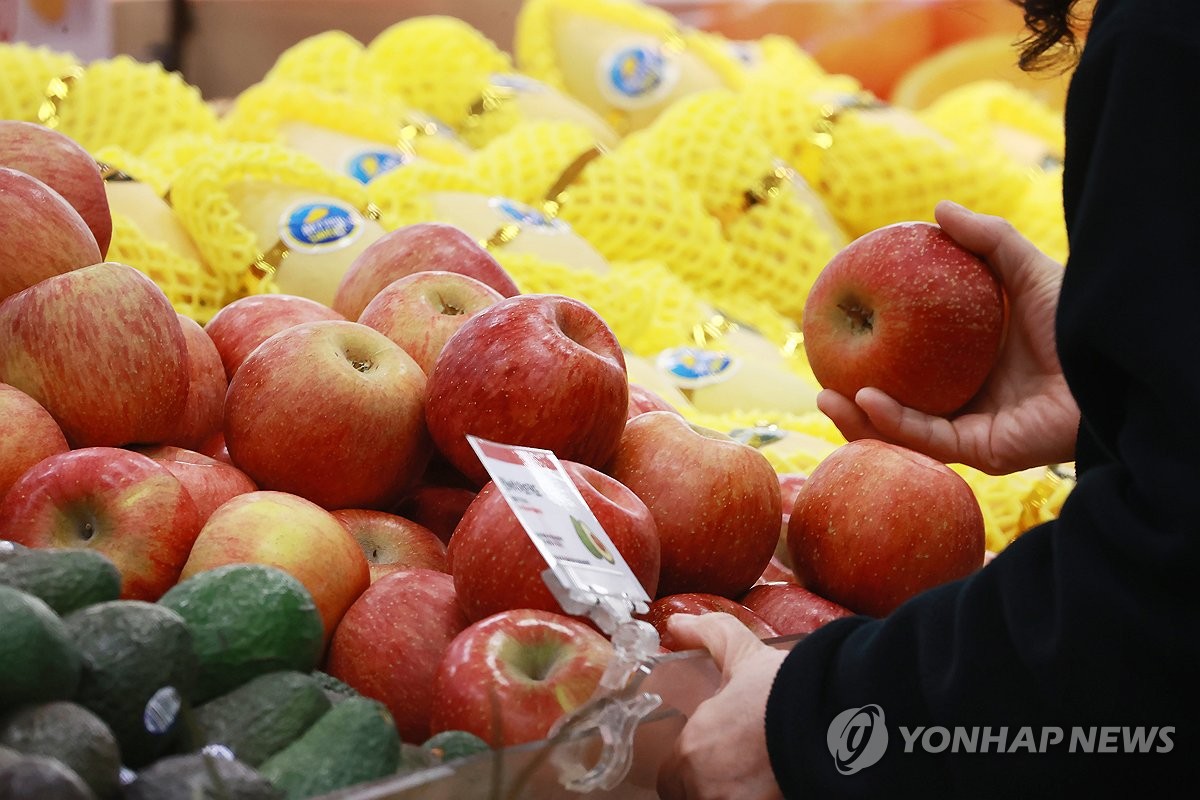 정부 사과·배 비축·계약재배 물량 확대 검토 나무뉴스