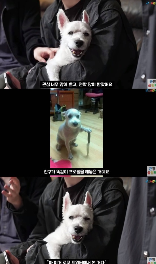 한소희 짤만 남았다…칼든 개→이혼짤 드디어 끝났나 [엑s 이슈] 나무뉴스