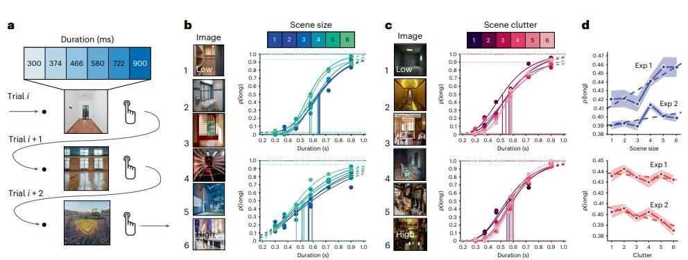 [사이테크+] "눈에 어떻게 보이느냐에 따라 시간 흐름 다르게 인식" (연합뉴스) - 나무뉴스