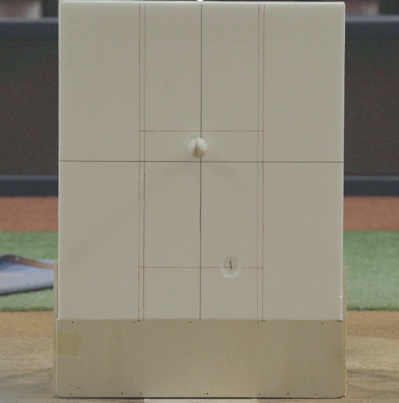 현장은 'ABS 불만' 폭발이지만…KBO "평균 4.5mm 이내 정확성 확인했다" (엑스포츠뉴스) - 나무뉴스