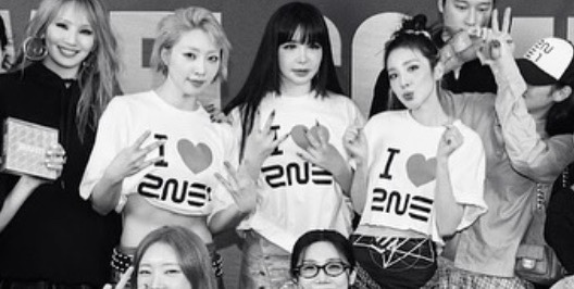 2NE1, '걸그룹 후배' 제니·뉴진스 샤라웃… "모든 소녀들에게 사랑을" - 나무뉴스