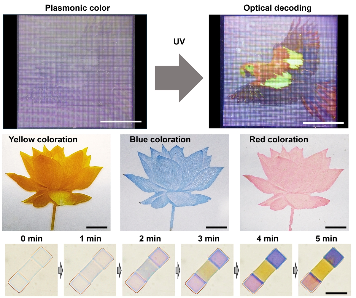 UNIST "은 나노입자 기반 은닉형 위조 방지 기술 개발" (연합뉴스) - 나무뉴스