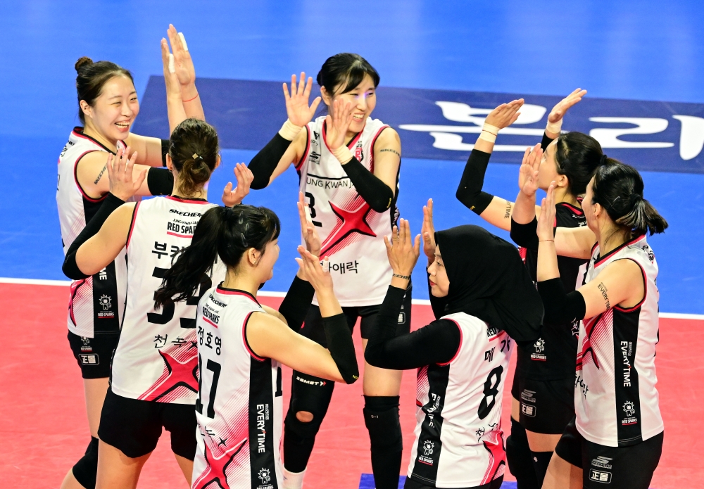 '45점 합작' 메가+부키리치 쌍포 폭발!…정관장, IBK기업은행 7연승 저지 - 나무뉴스