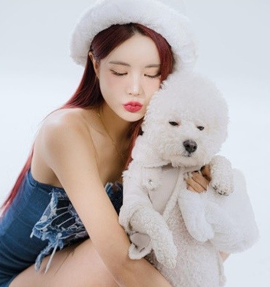 '강남 벤츠 음주운전' DJ예송, "국위선양" 선처 호소했지만…징역 8년 확정 (엑스포츠뉴스) - 나무뉴스