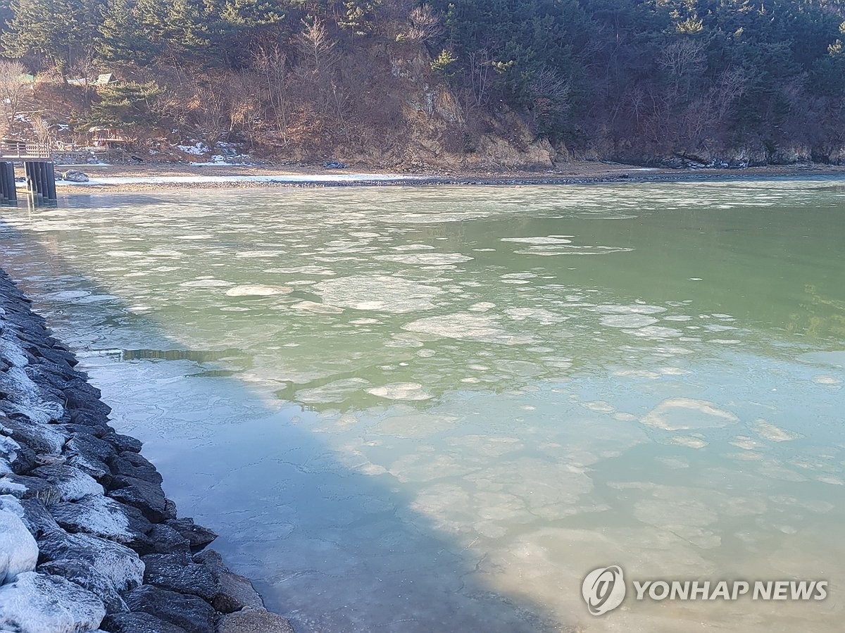 [내주날씨] 주 중반부터 점차 기온 올라…수요일 전국에 비나 눈 (연합뉴스) - 나무뉴스