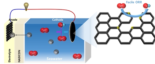 UNIST "목재 폐기물로 해수전지용 고성능 촉매 개발" (연합뉴스) - 나무뉴스