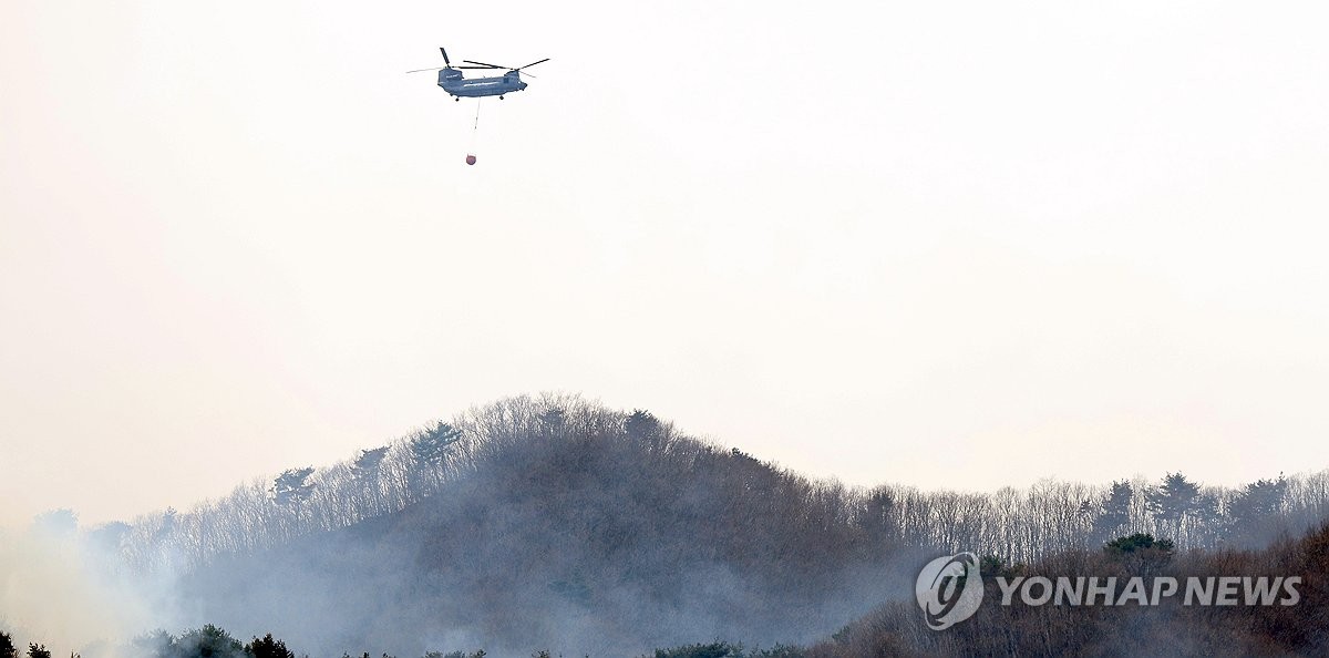 100㎝ 낙엽층에 파고든 불씨…식생·지형에 지리산 산불 장기화 (연합뉴스) - 나무뉴스