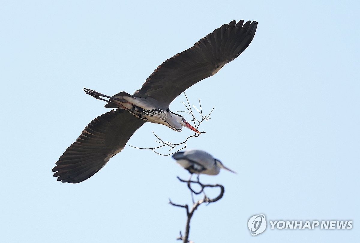 [내일날씨] 절기상 '청명' 일교차 커…수도권 미세먼지 '나쁨' (연합뉴스) - 나무뉴스