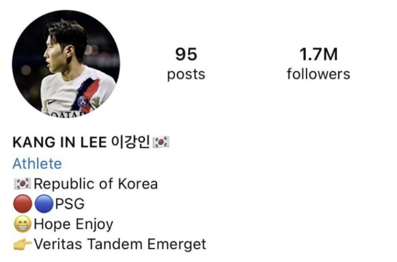 이강인, '태극기·PSG' 싹둑 지웠다→SNS 변경…"이건 이적 맞아" VS "그냥 지운 거다" 의견 갈렸다 - 나무뉴스