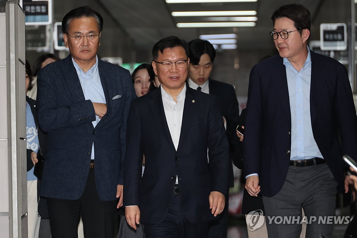 새벽 3시 공고에 한덕수 단독신청…국힘, 한밤 새며 속전속결 후보교체(종합) (연합뉴스) - 나무뉴스