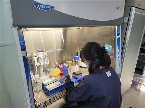 '설 물가 안정 위해' 파주 양돈농가 ASF 정밀검사 뒤 출하 허용 (연합뉴스) - 나무뉴스