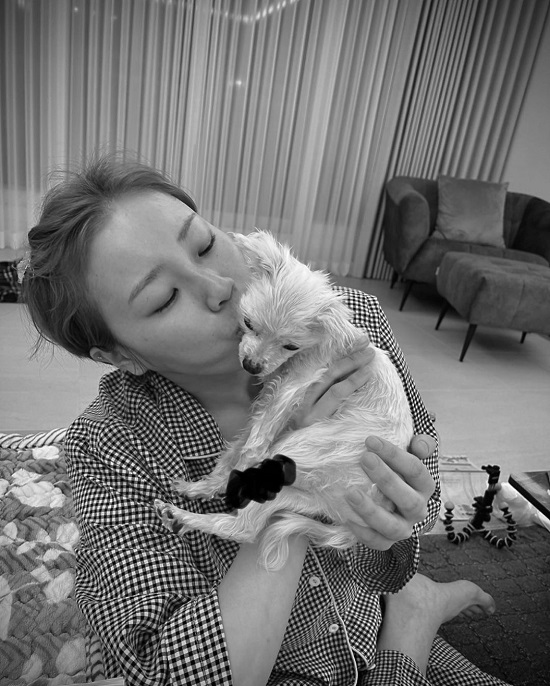 입짧은햇님 "정신 못차리고 목놓아 울어" 반려견 향한 그리움 [전문] (엑스포츠뉴스) - 나무뉴스