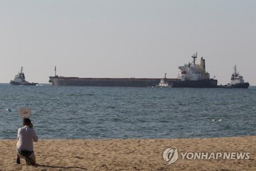 우크라 곡물 수출선 1척 한국행…옥수수 6만5천t 선적 (연합뉴스) - 나무뉴스