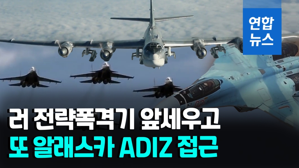 [영상] 러 군용기 또 알래스카 ADIZ 진입 시도…미 F-35 출격 - 나무뉴스