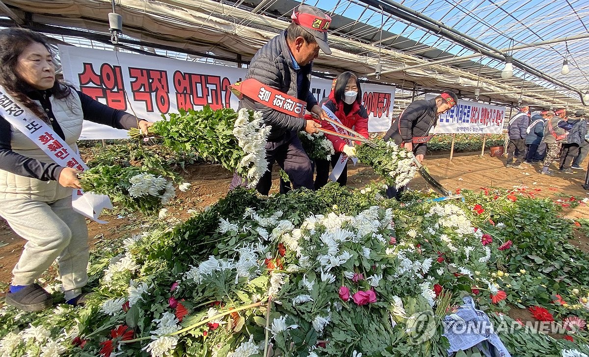 경남도, 화훼산업 발전·화훼문화 진흥법 개정안 조속 처리 건의 - 나무뉴스