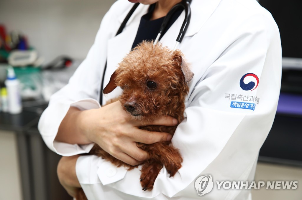 반려동물 판매업 '허가제' 전환…무허가 영업자 최대 2년 징역 (연합뉴스) - 나무뉴스