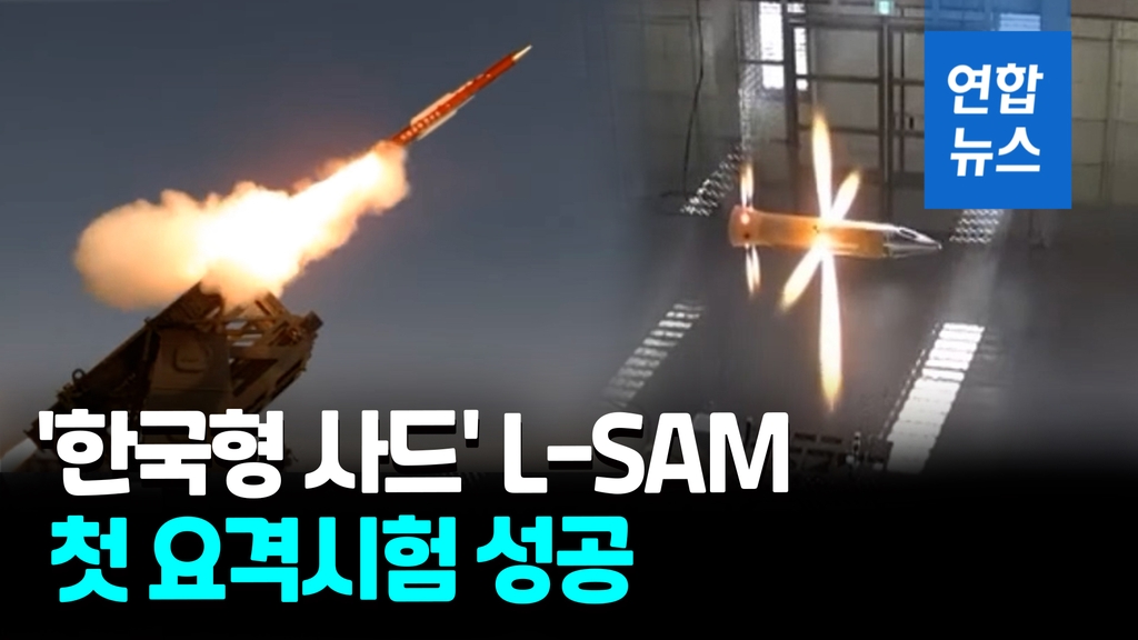 [영상] 북 탄도미사일 요격…'한국형 사드' L-SAM 첫 요격시험 성공 - 나무뉴스