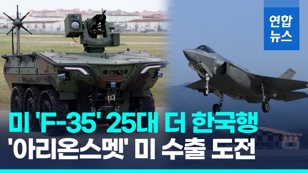 [영상] 'F-35' 25대 더 한국 온다…'아리온스멧' 미 해병대서 성능평가 (연합뉴스) - 나무뉴스