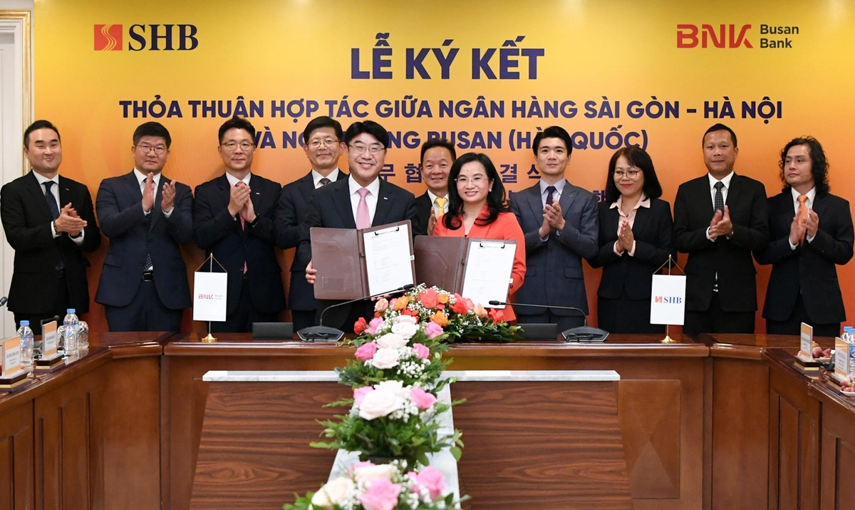 BNK금융, 베트남 T&T그룹과 글로벌사업 확대 협약 - 나무뉴스