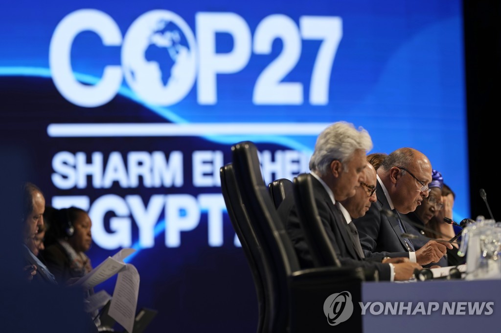 파리협정 후 최대 성취 혹은 손실…COP27의 5가지 포인트 - 나무뉴스