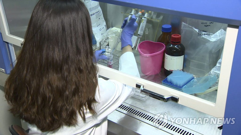 교육부 'BK21' 중간평가…129개 팀 탈락·133개 팀 재선정 - 나무뉴스