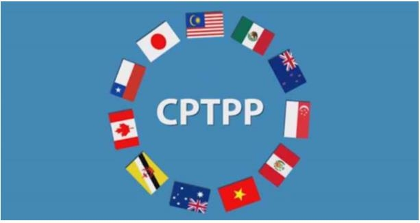 말레이시아, CPTPP 비준…참여국 중 9번째 - 나무뉴스