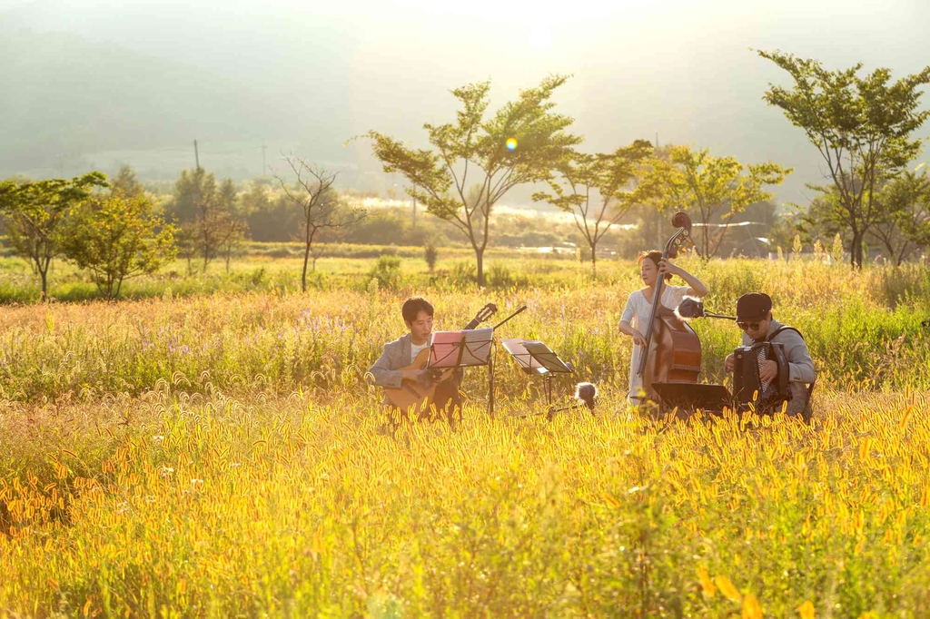 비무장지대에 흐르는 평화의 선율…PLZ페스티벌 24일 개막 - 나무뉴스