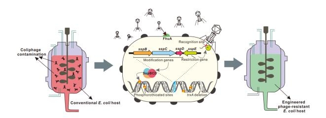 KAIST "바이오 화학산업에 치명적인 바이러스 오염 해결" - 나무뉴스