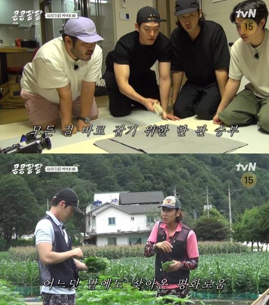 차태현, '콩콩팥팥' 출격…"1년짜리 기획이야?" 돌직구 - 나무뉴스